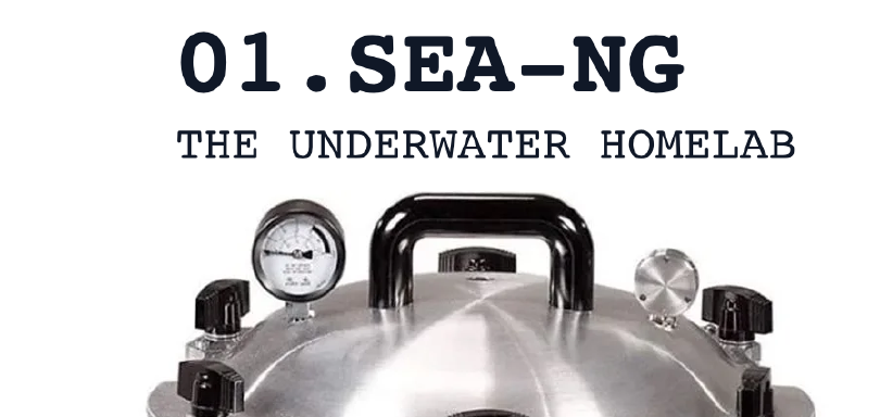 Project:SEA-NG · DillonBaird.io